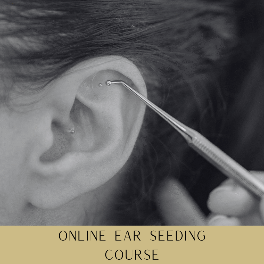 Online Ear Seeding Course - Japanese Head Spa CA